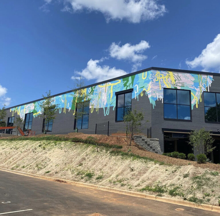 Large Scale Artist | Sharon Dowell Art